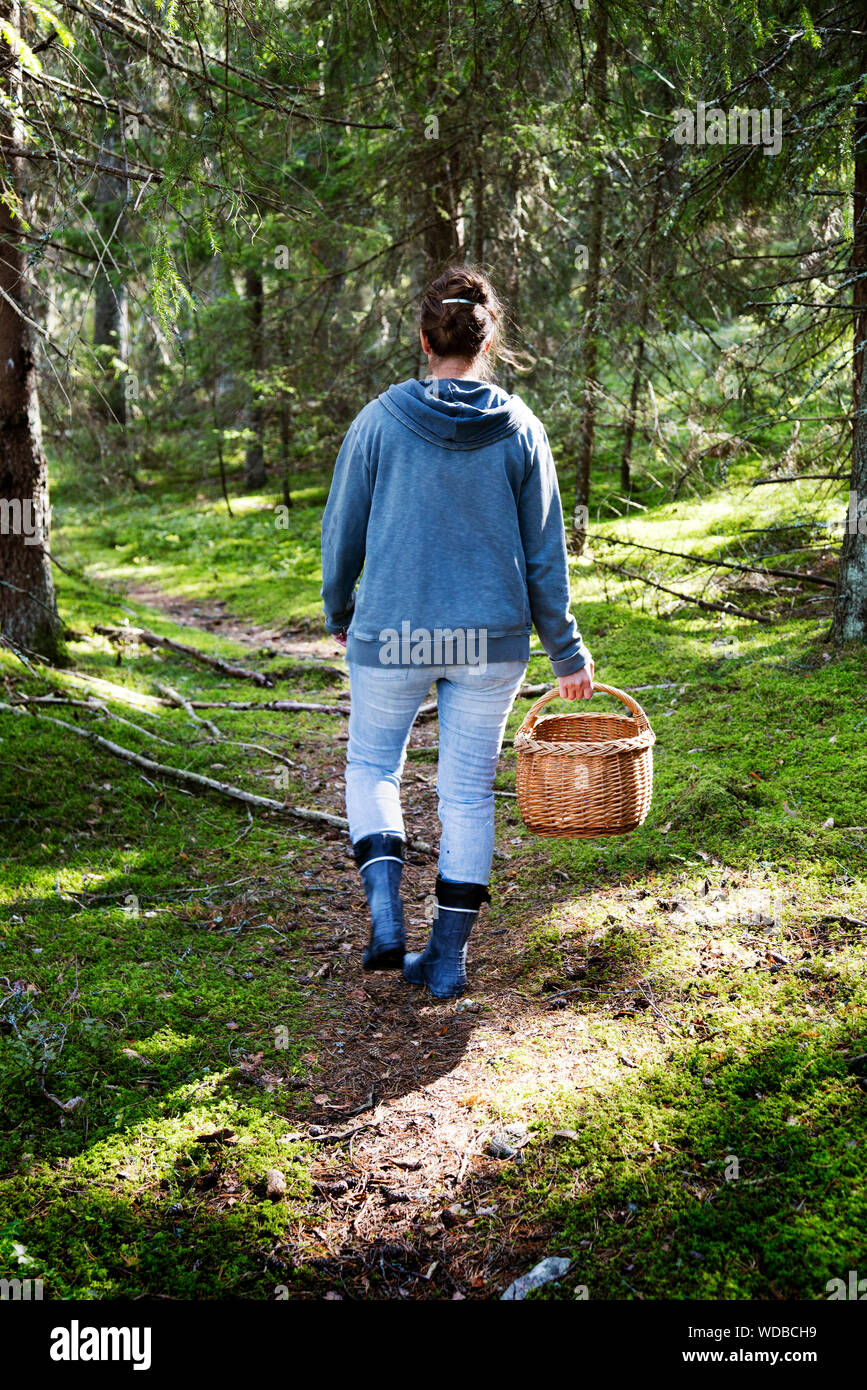 Picking mushrooms hi-res stock photography and images - Alamy