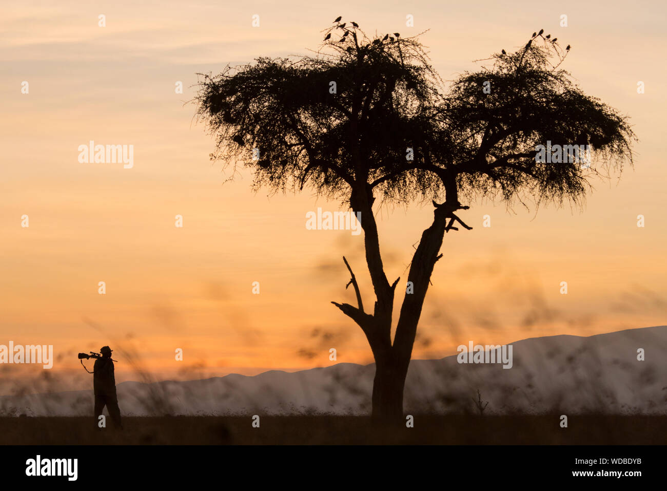 African Park Ranger High Resolution Stock Photography and Images - Alamy