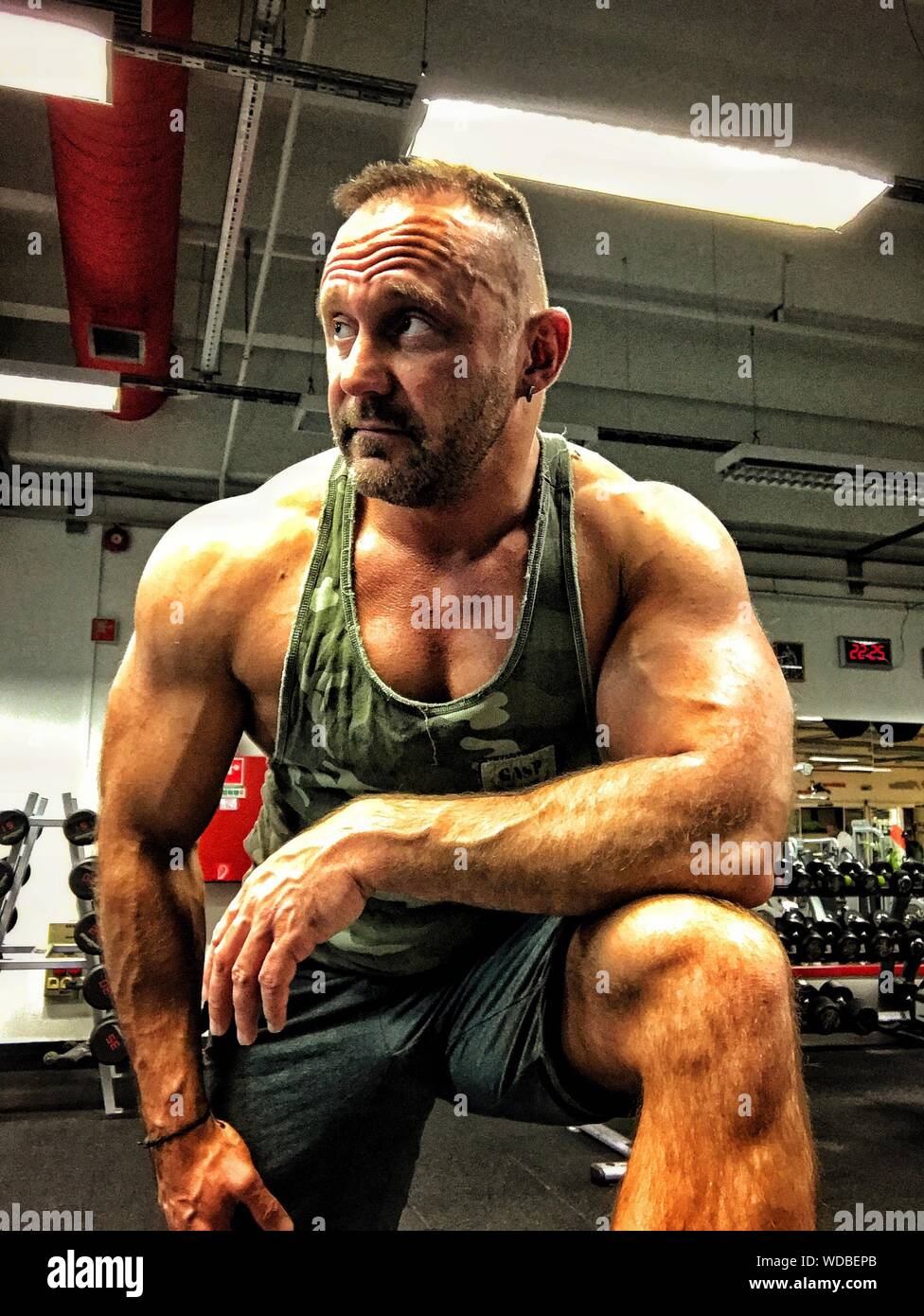 Body builder High Resolution Stock Photography and Images - Alamy