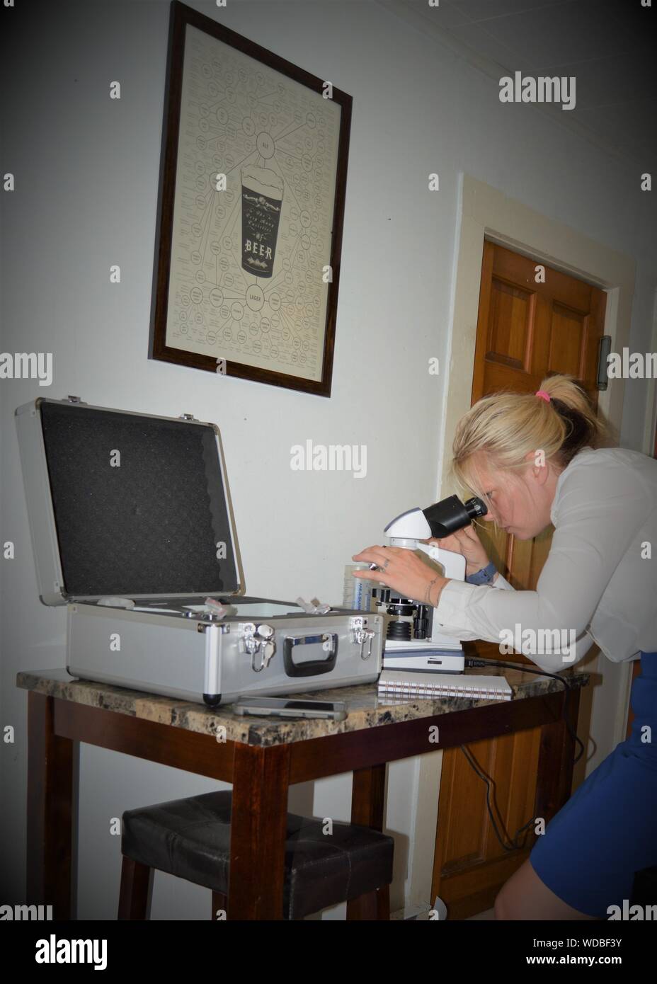 Stem field study hi-res stock photography and images - Alamy