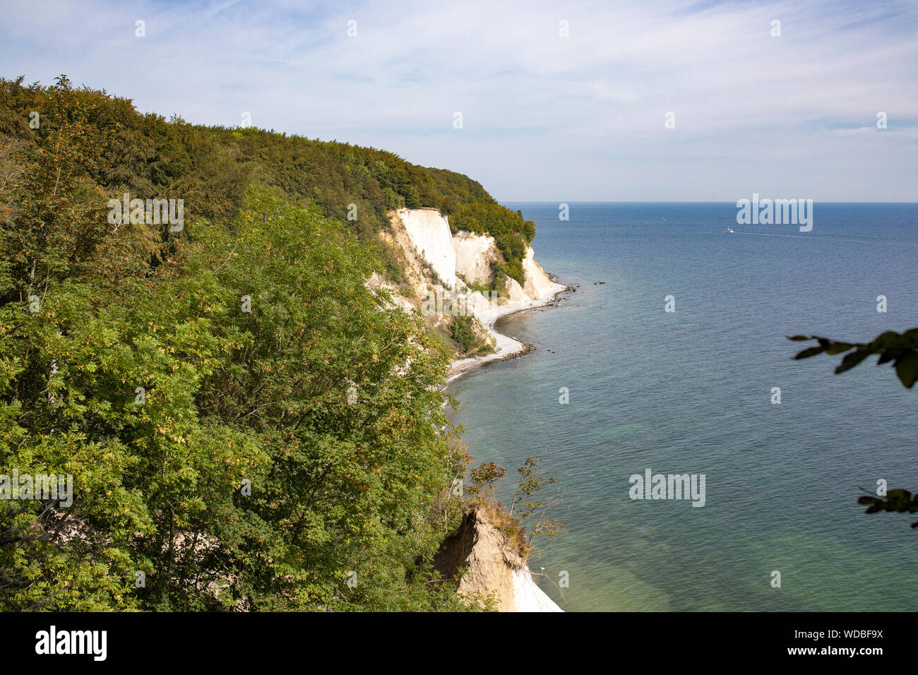 Chalk cliffs on the island Rugen (Rugia). The German Baltic Sea coast ...