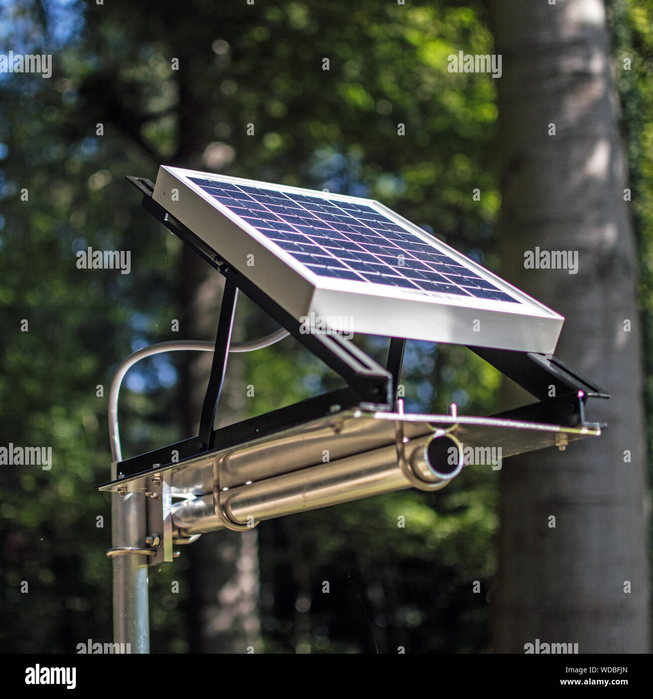 Solar panel tree trees hi-res stock photography and images - Alamy