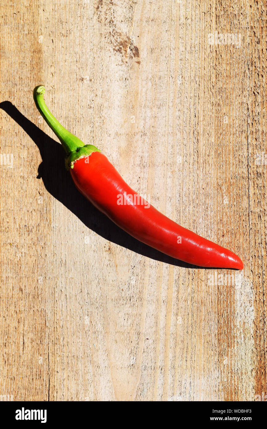 Retro pepper wood Board, great design for any purpose. Tree old vintage ...