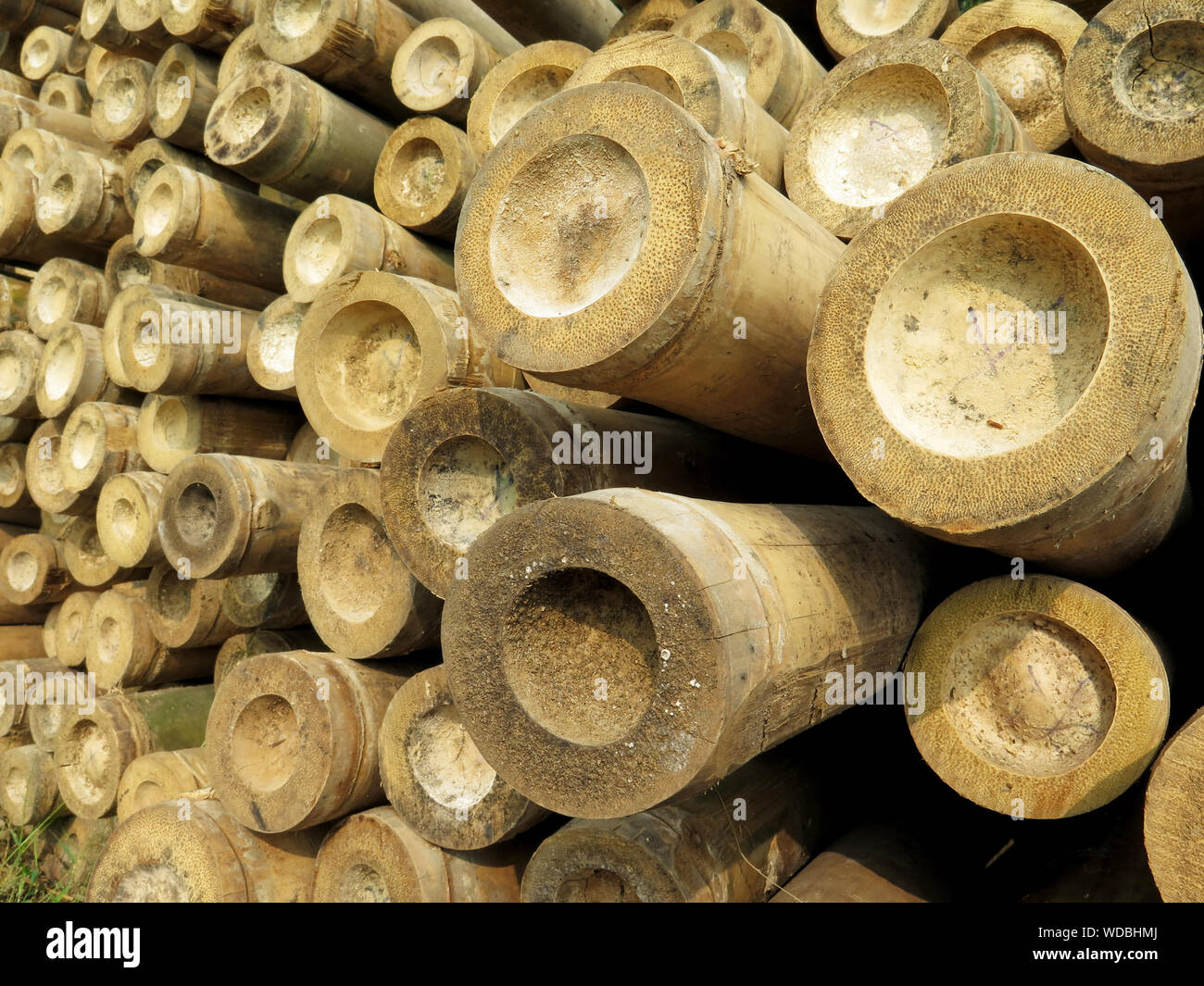 Bamboo logs hi-res stock photography and images - Alamy