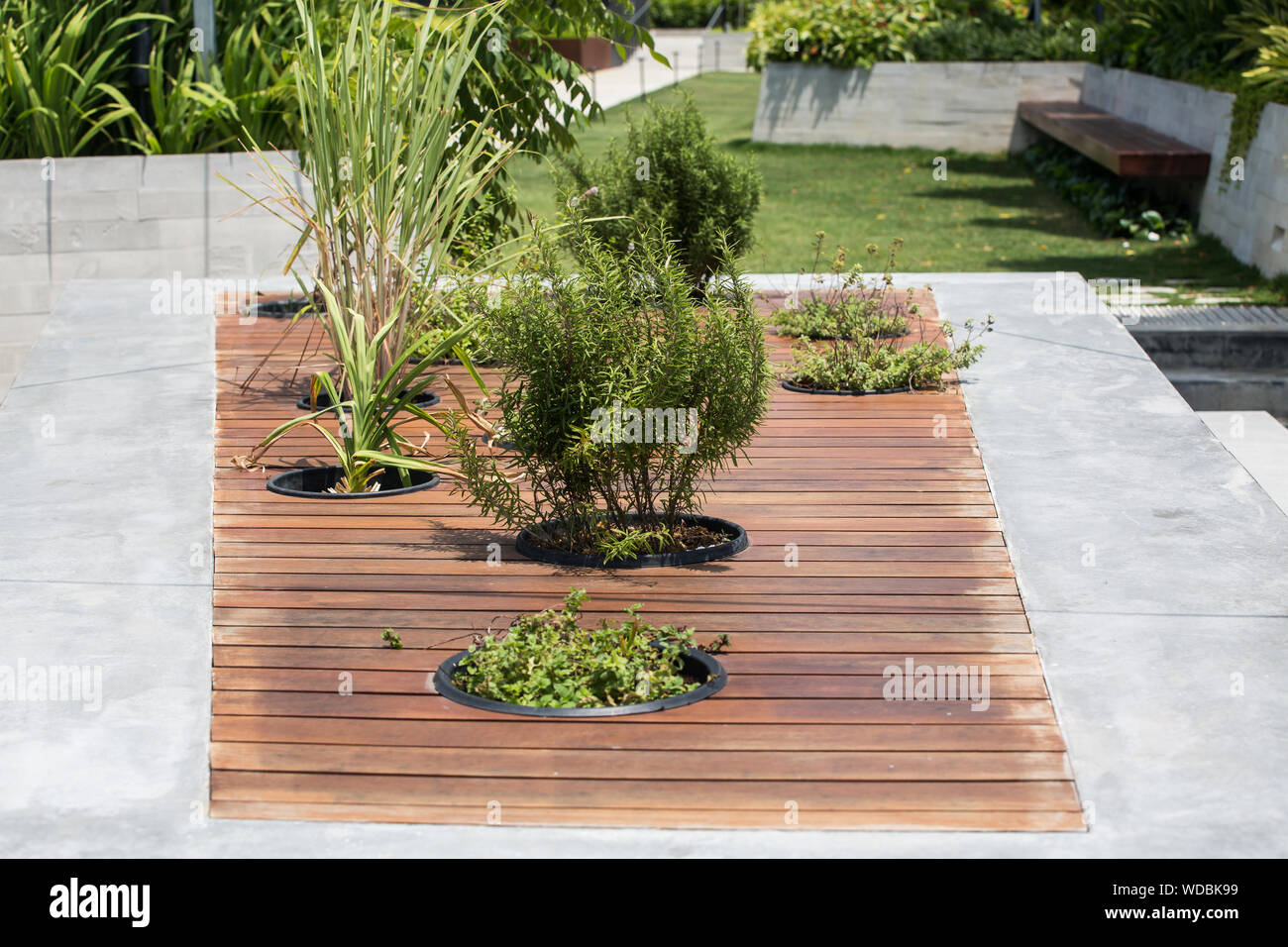 Rooftop garden at funan mall embraced with green and accessible hi-res ...