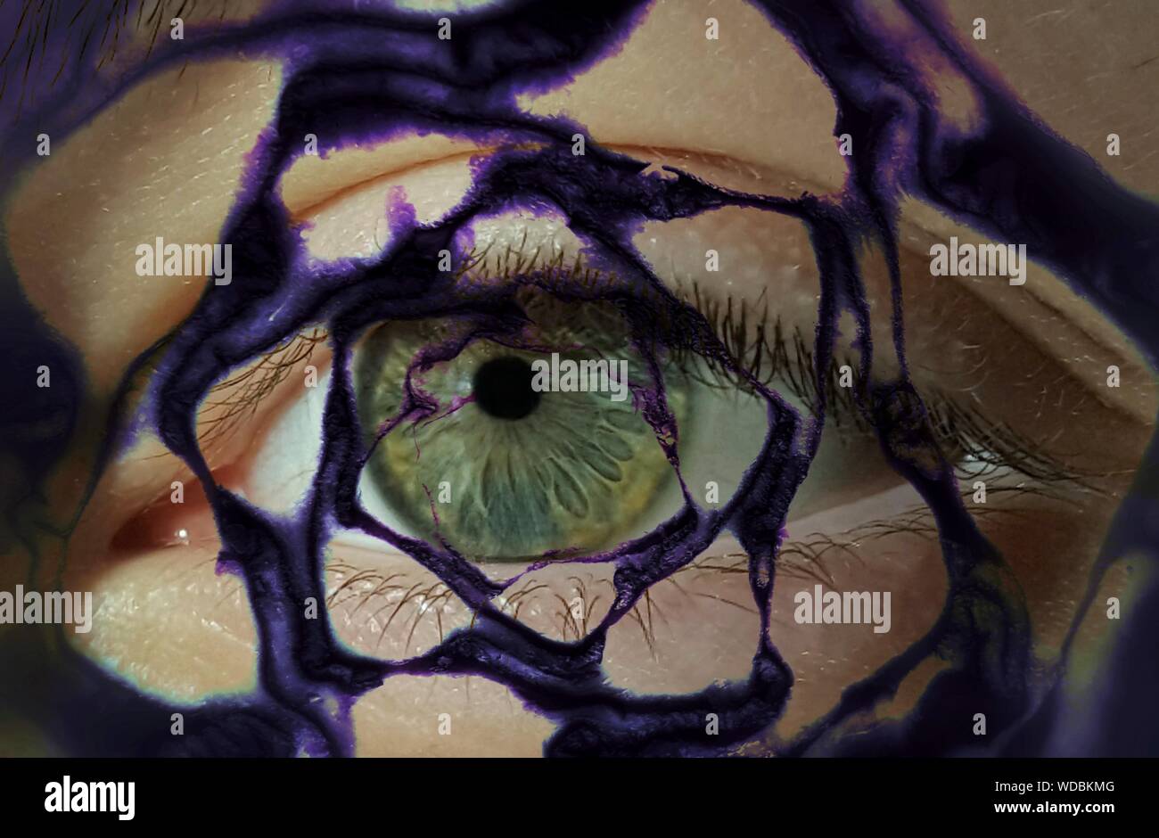 Human exposure hi-res stock photography and images - Alamy