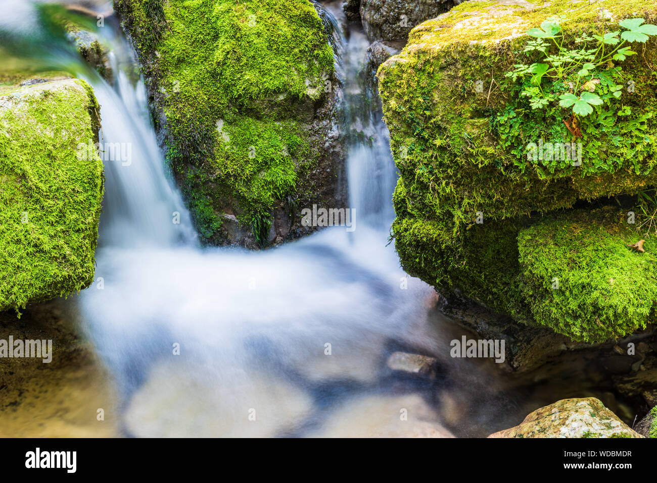 Waterfalls and ravine of Boncic. Taipana, Udine. Italy Stock Photo - Alamy