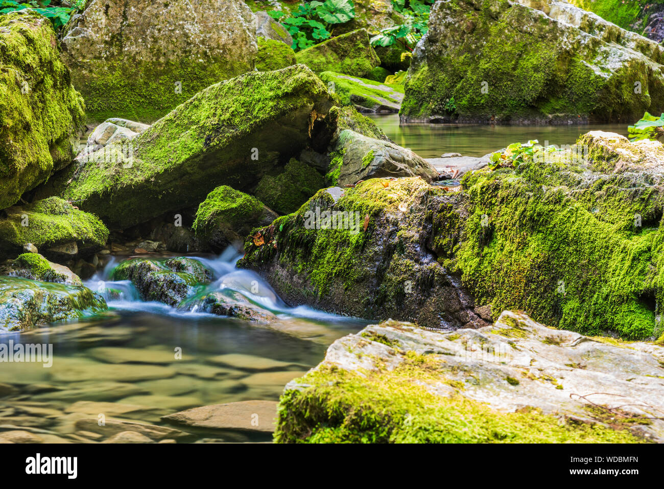 Waterfalls and ravine of Boncic. Taipana, Udine. Italy Stock Photo - Alamy