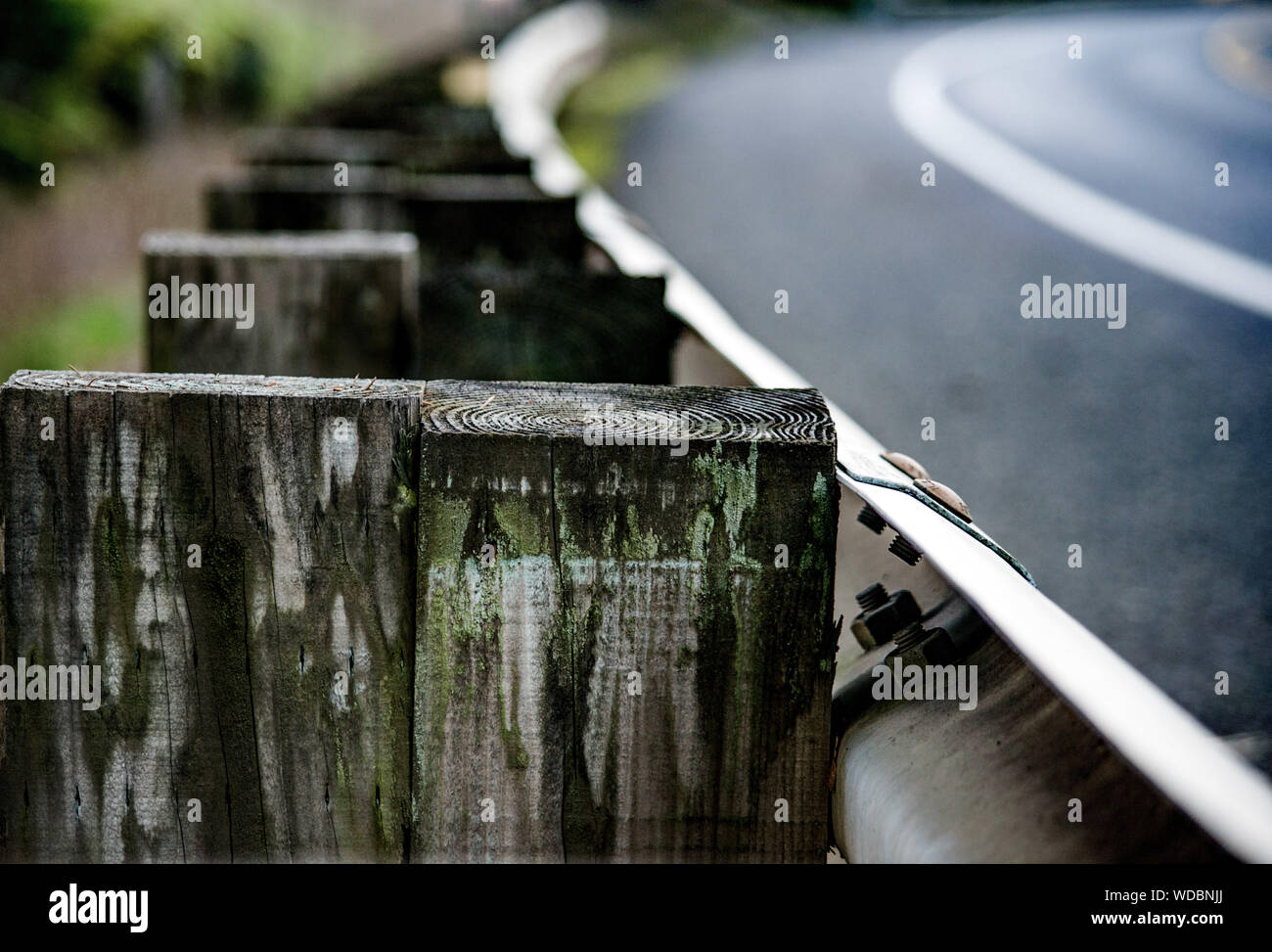 Plank road hi-res stock photography and images - Alamy