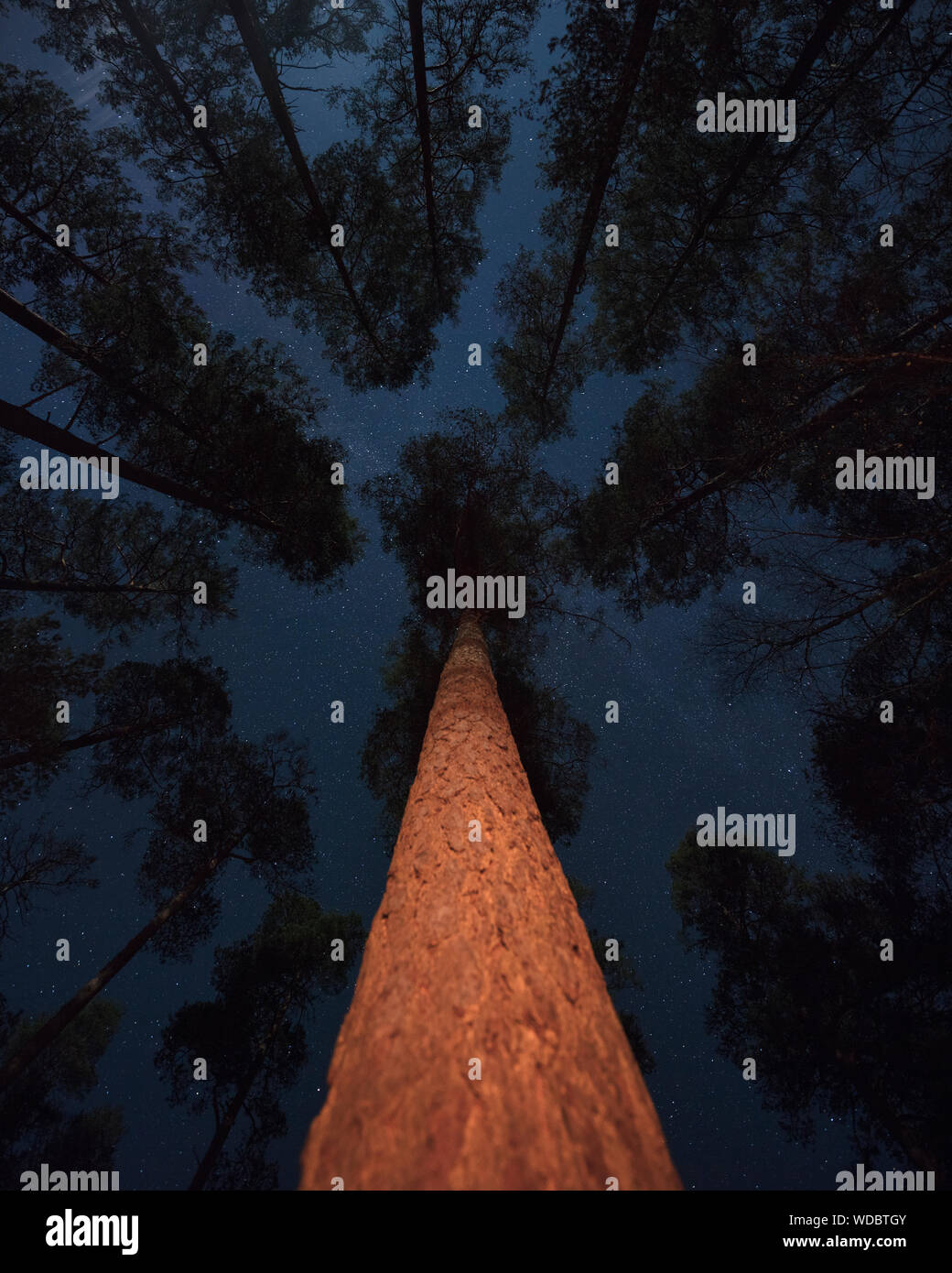 Norra kvill national park hi-res stock photography and images - Alamy