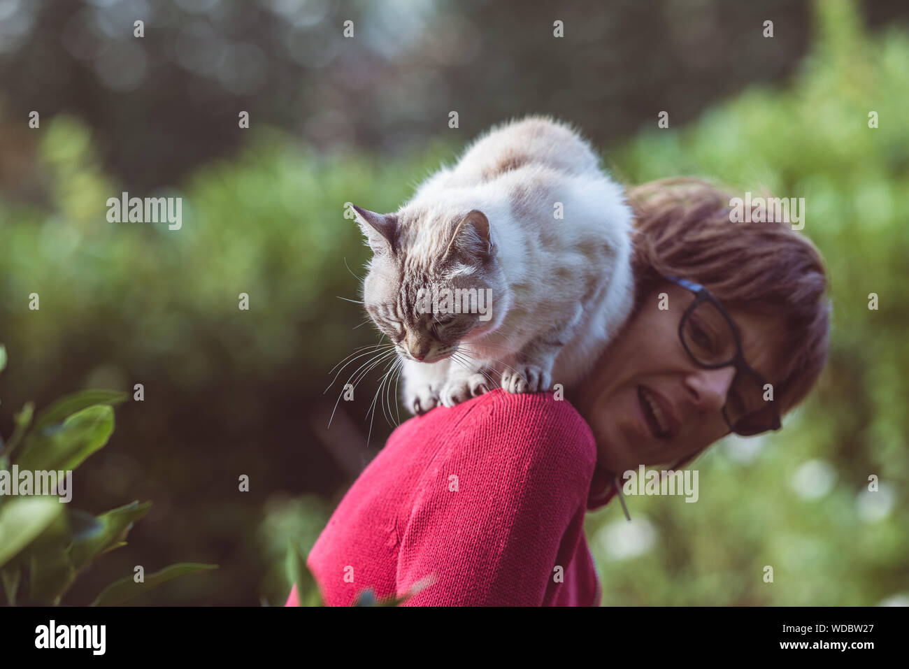 Cat on shoulder hi-res stock photography and images - Alamy