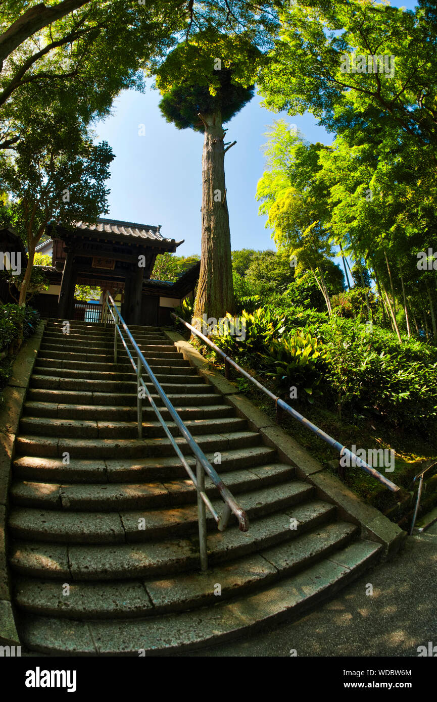 Temple steps japan hi-res stock photography and images - Alamy