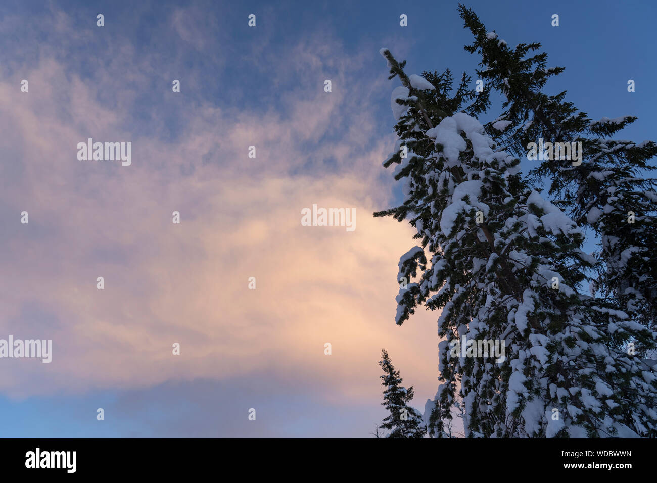 Snow low angle view hi-res stock photography and images - Alamy