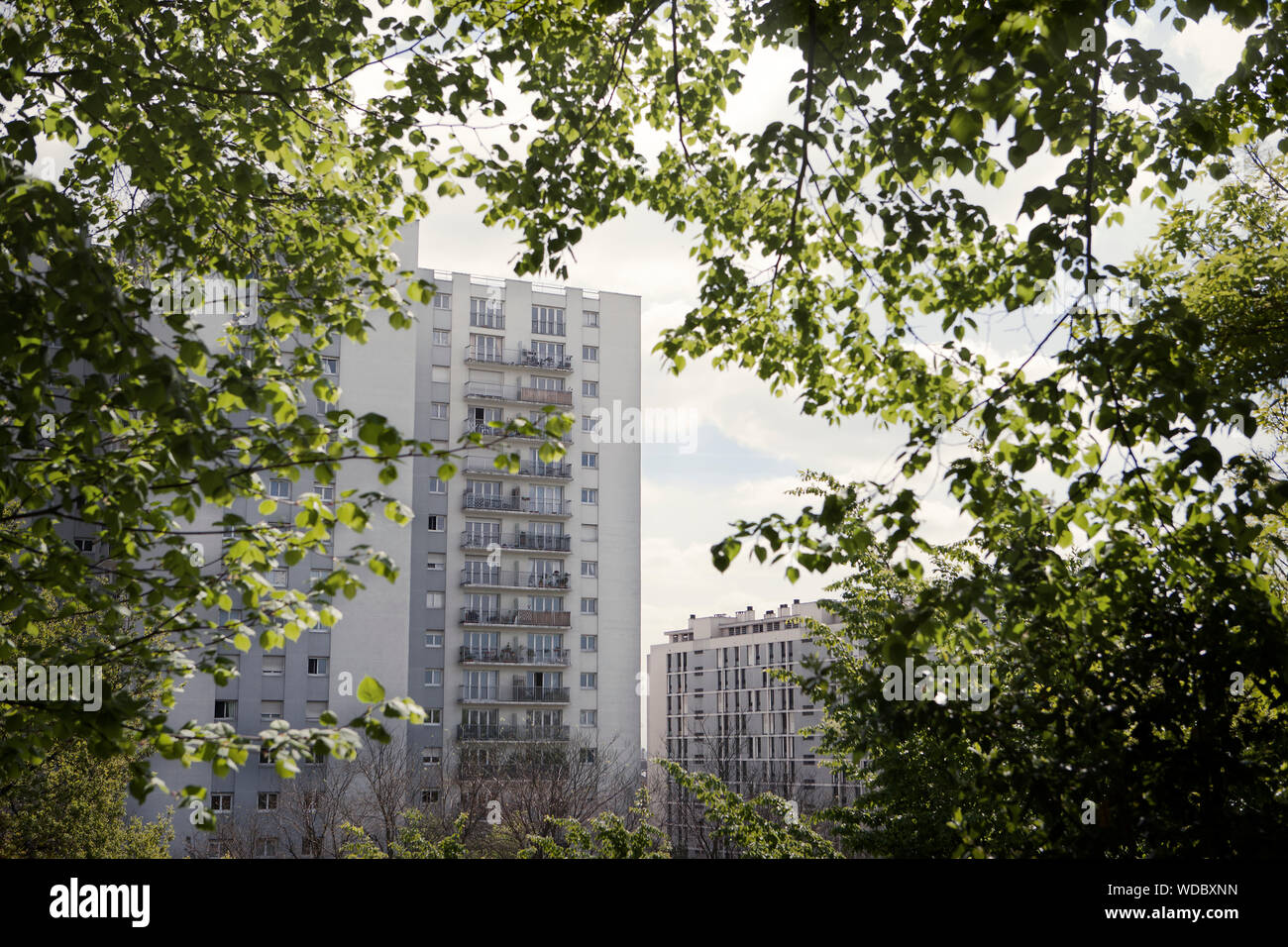 Trees by an apartment building Stock Photo - Alamy