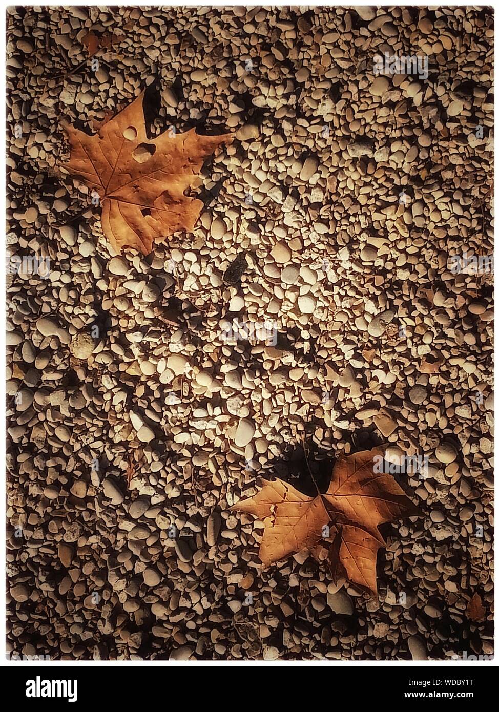 Ground up view Cut Out Stock Images & Pictures - Alamy