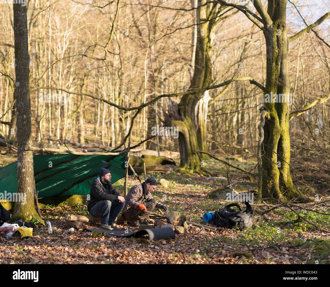 Men camping in forest Stock Photo - Alamy