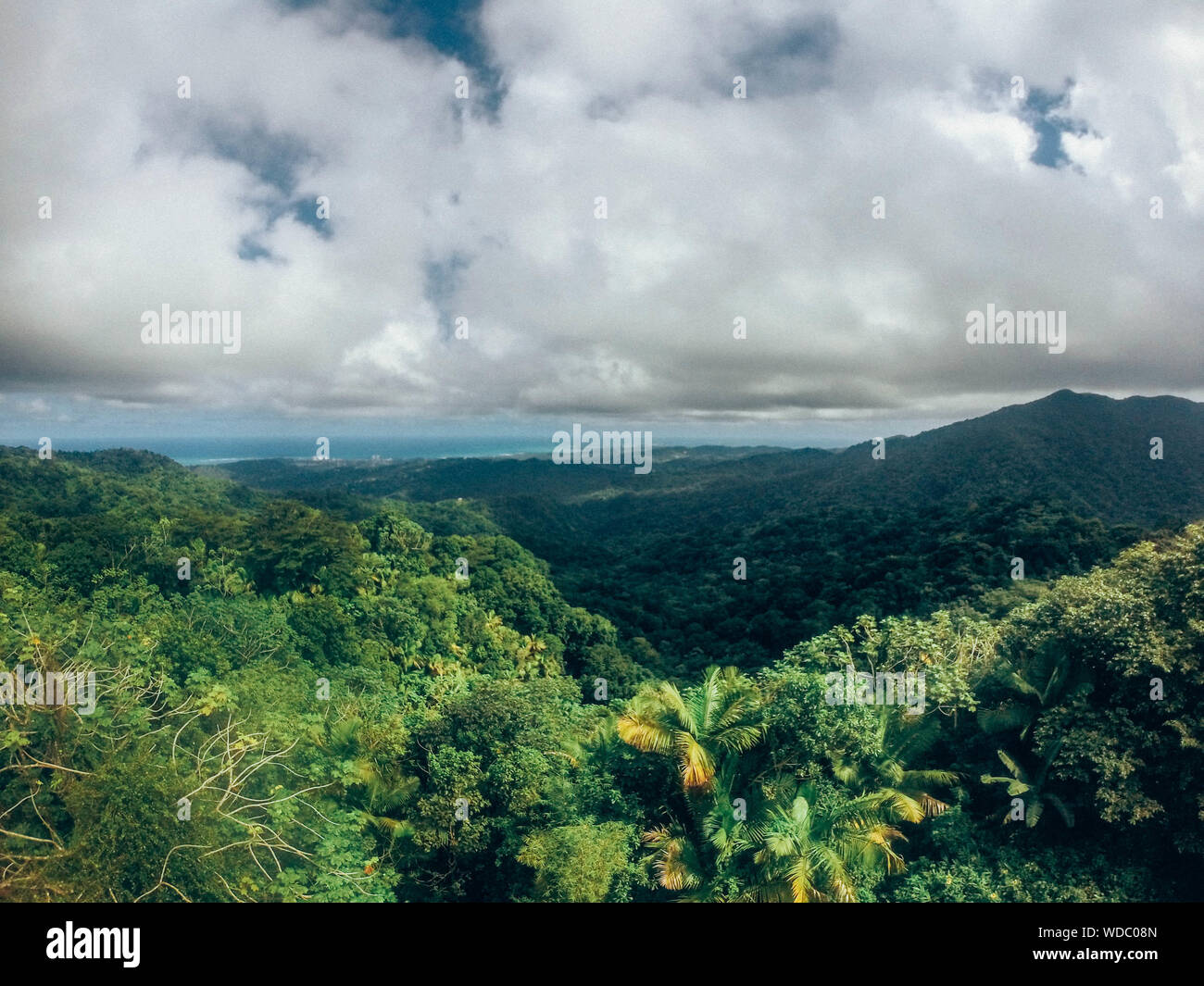 El yunque mountain puerto rico hi-res stock photography and images - Alamy