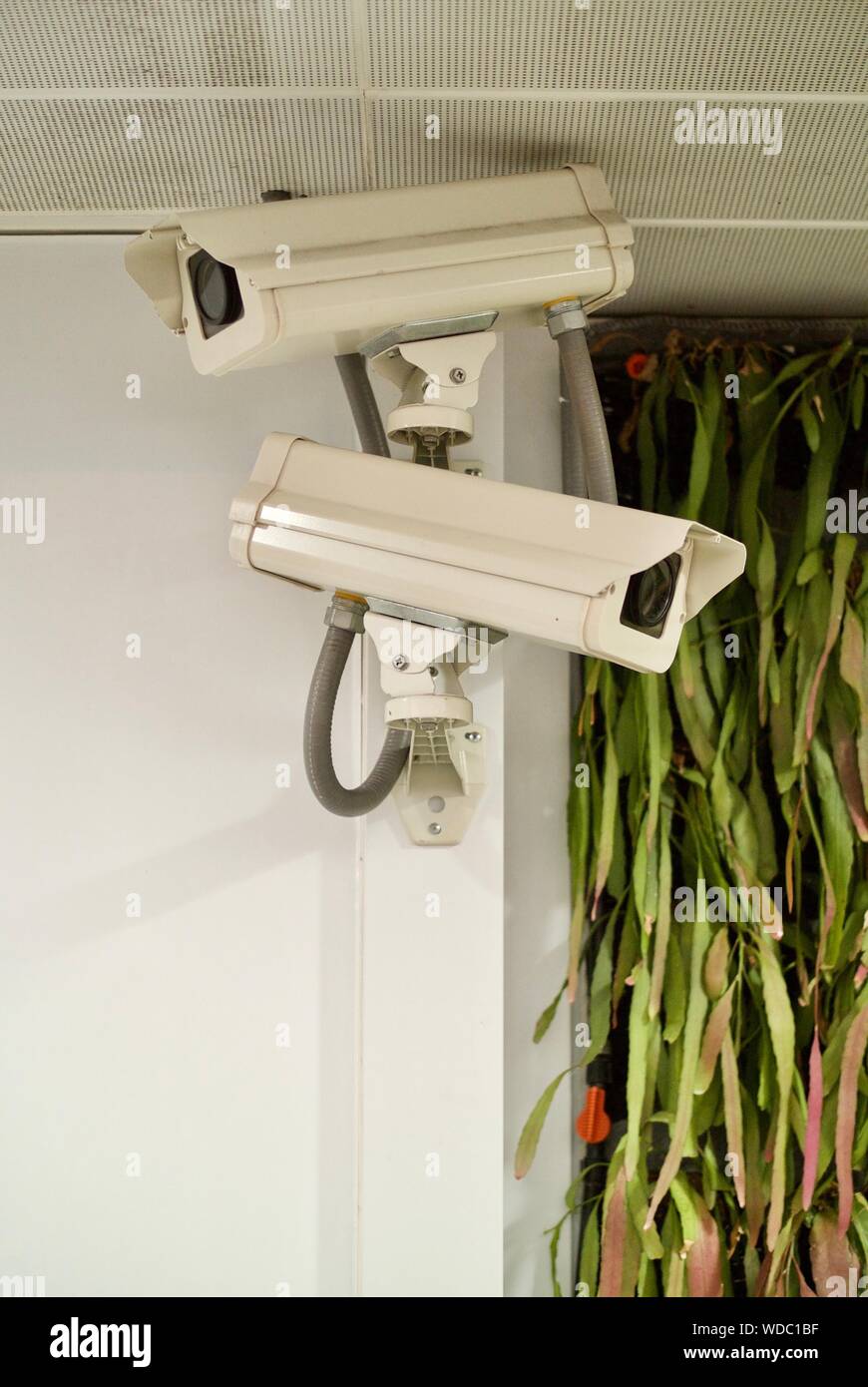 Wall hanging system hi-res stock photography and images - Alamy