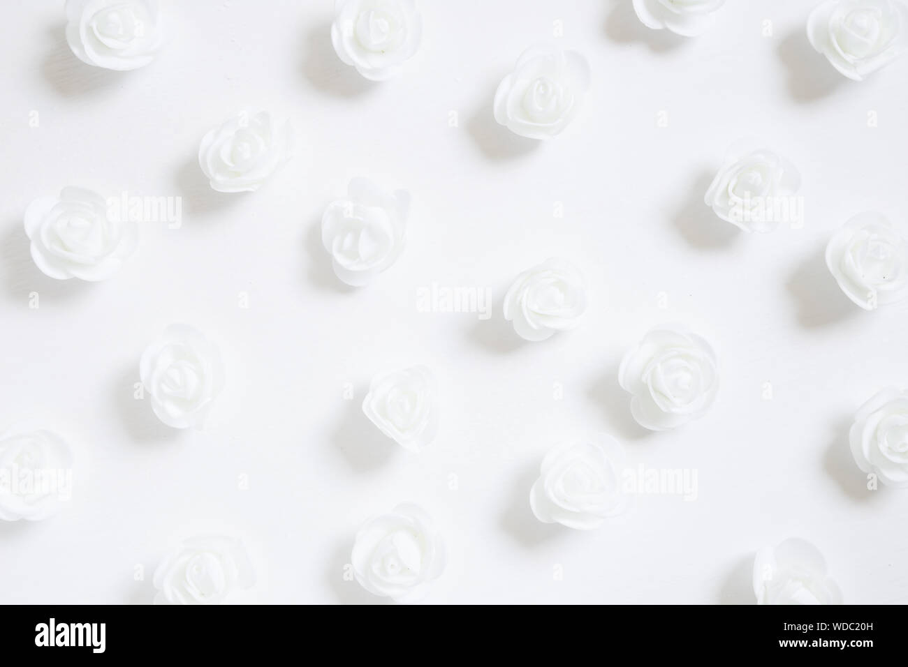 White rose flower pattern background Stock Photo - Alamy