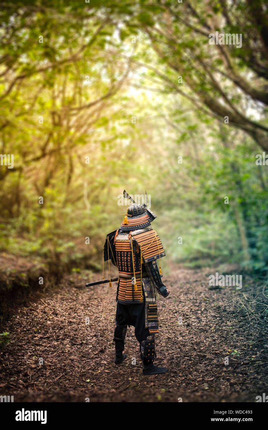 Samurai standing hi-res stock photography and images - Alamy