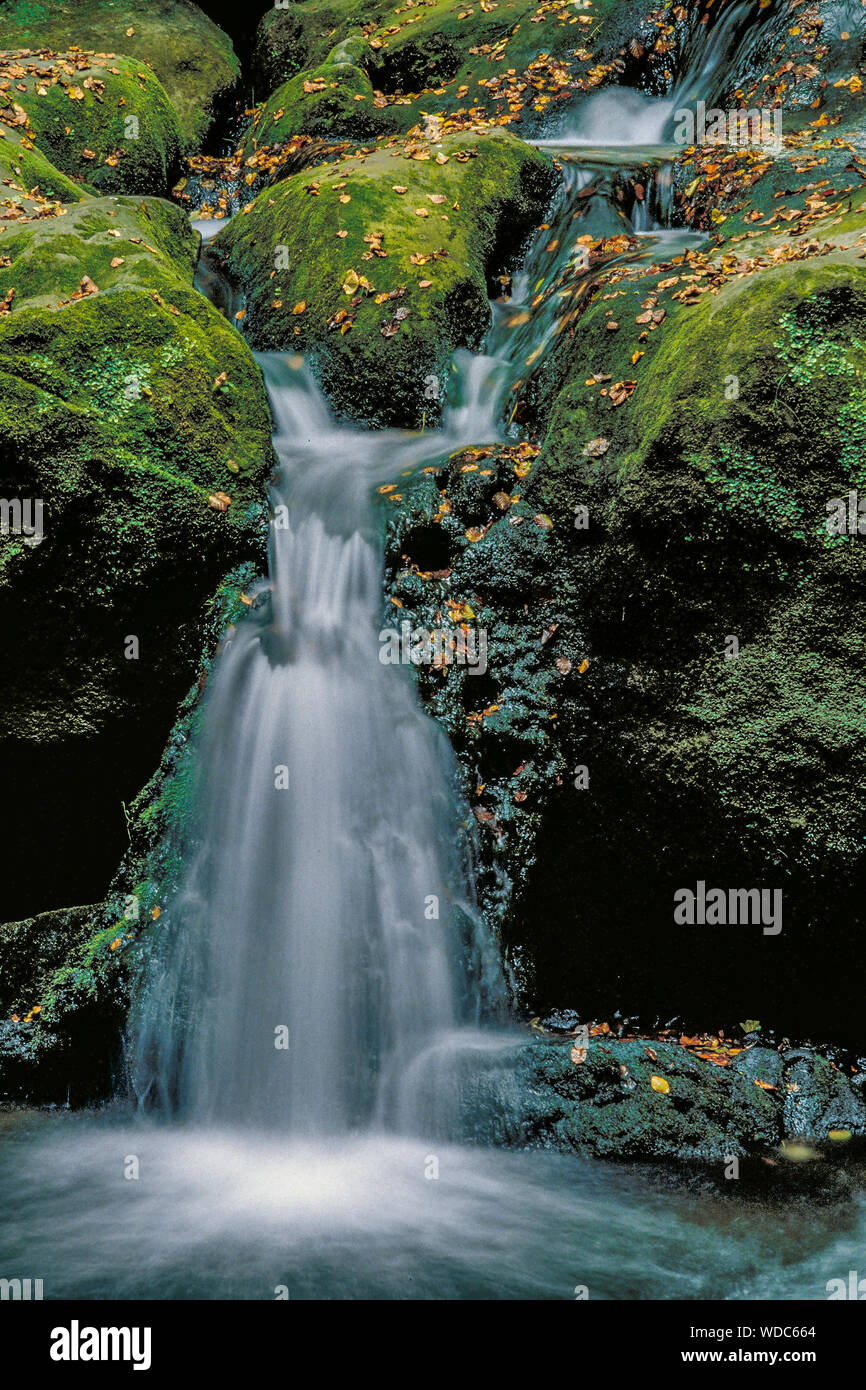 Waterfall with moss hi-res stock photography and images - Alamy