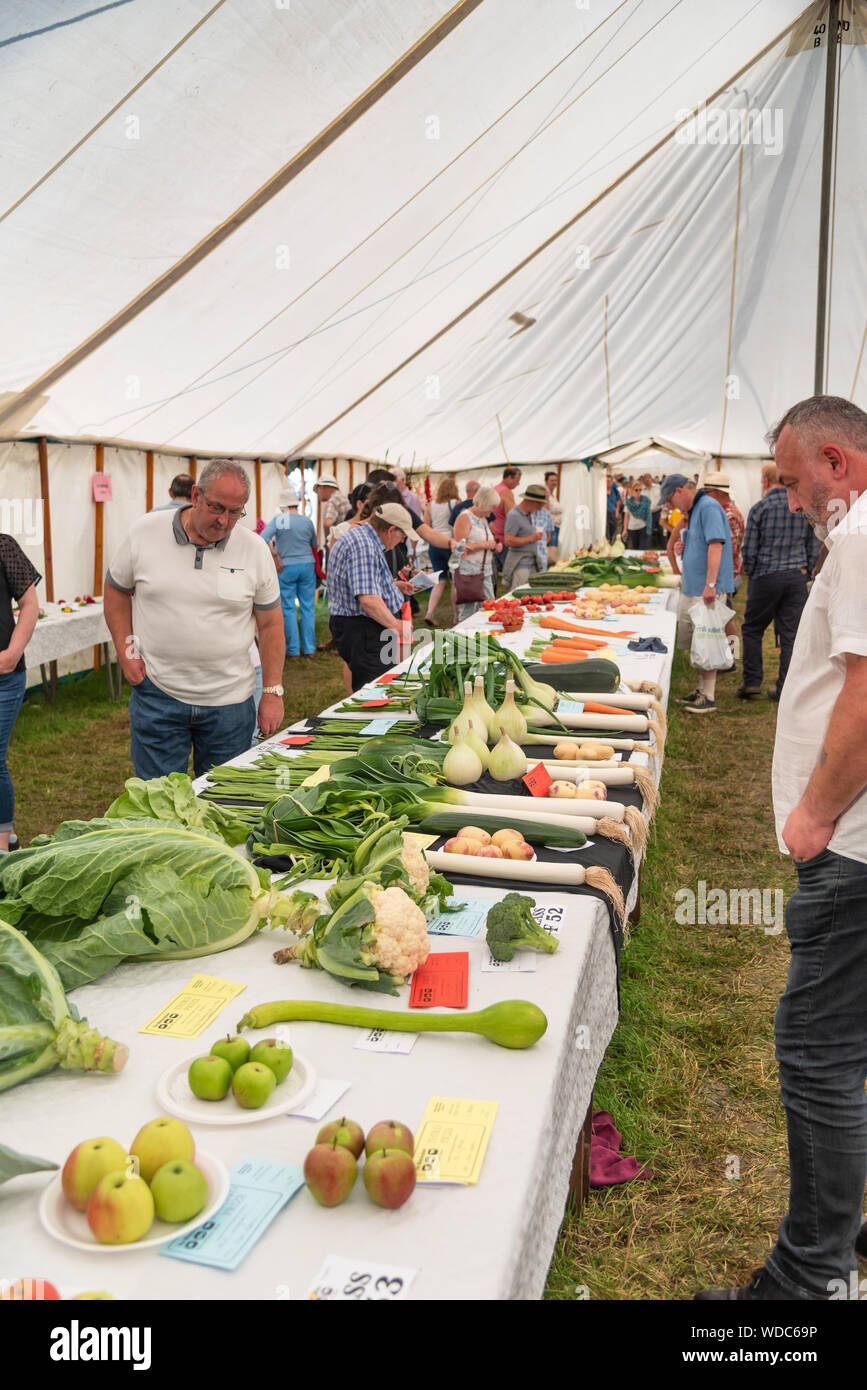 Vegetable competition exhibits at an agricultural show Stock Photo - Alamy