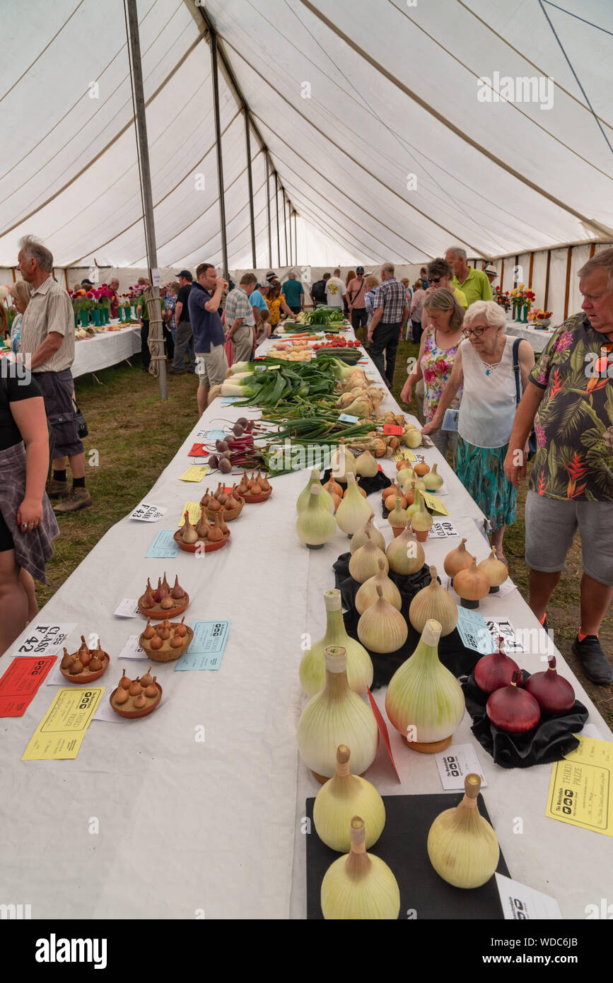 Vegetable competition exhibits at an agricultural show Stock Photo - Alamy