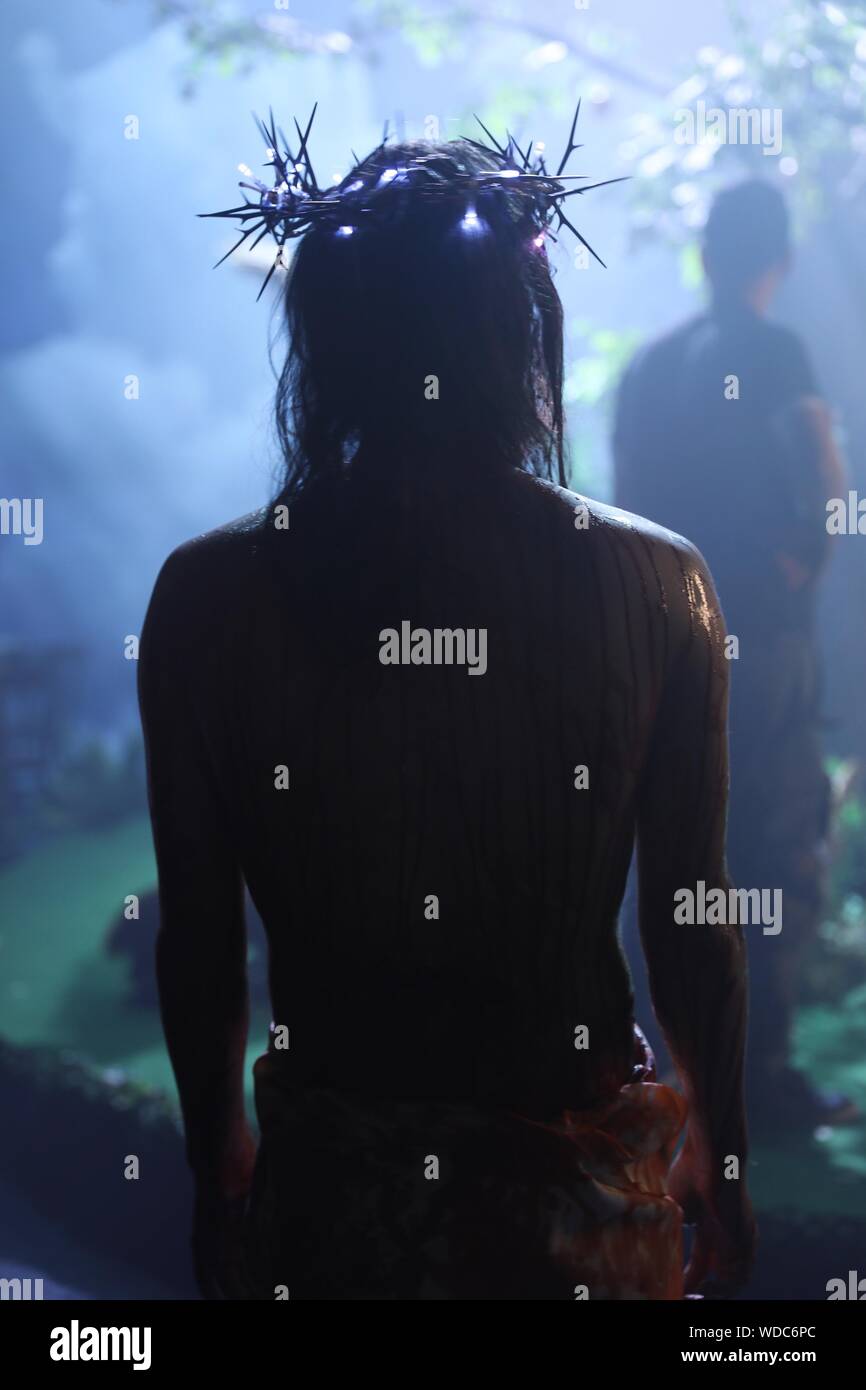 Real christ thorn hi-res stock photography and images - Alamy