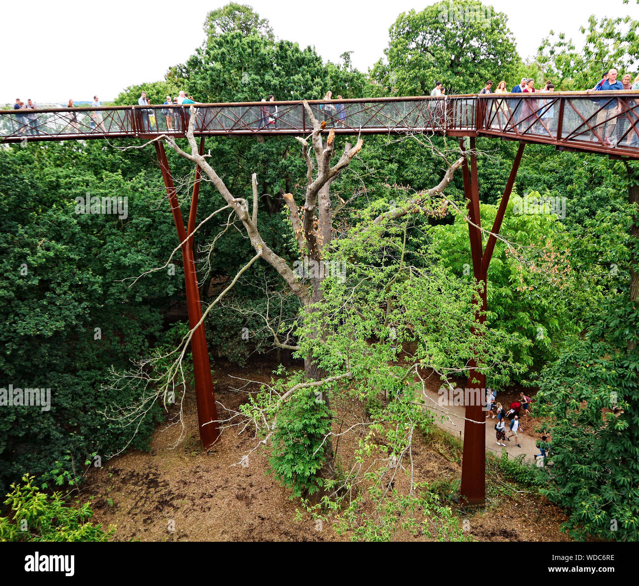 Kew Gardens treetop walkway Stock Photo - Alamy