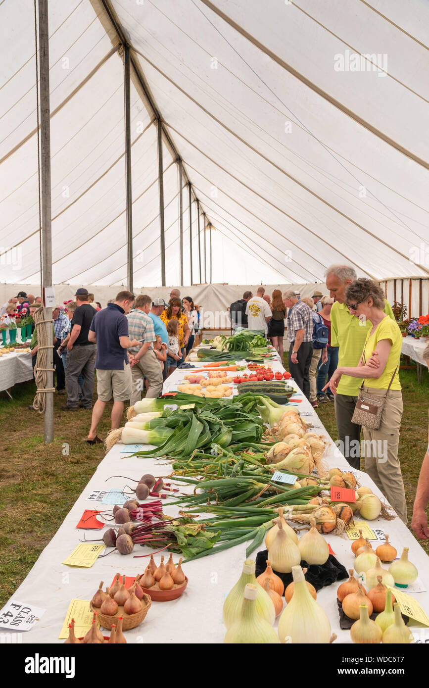 Vegetable competition exhibits at an agricultural show Stock Photo - Alamy
