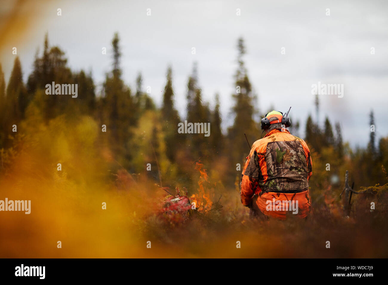 Person people man hunting hunter hi-res stock photography and images ...