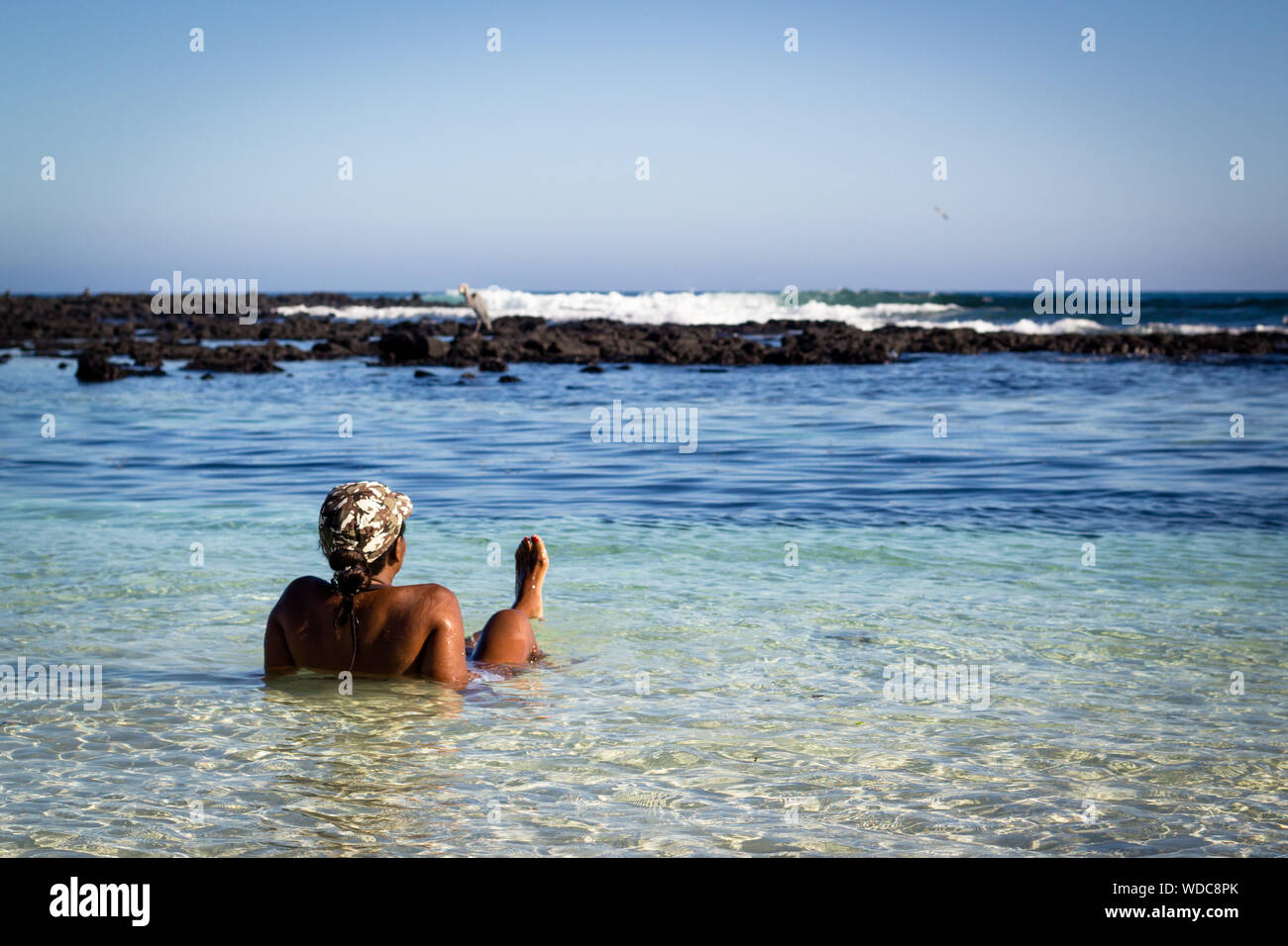 Galapagos rear view hi-res stock photography and images - Alamy