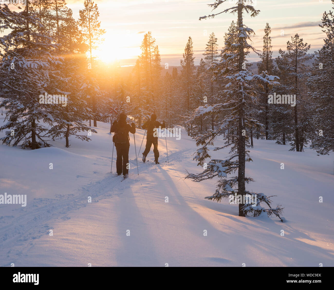 People and skiing hi-res stock photography and images - Alamy