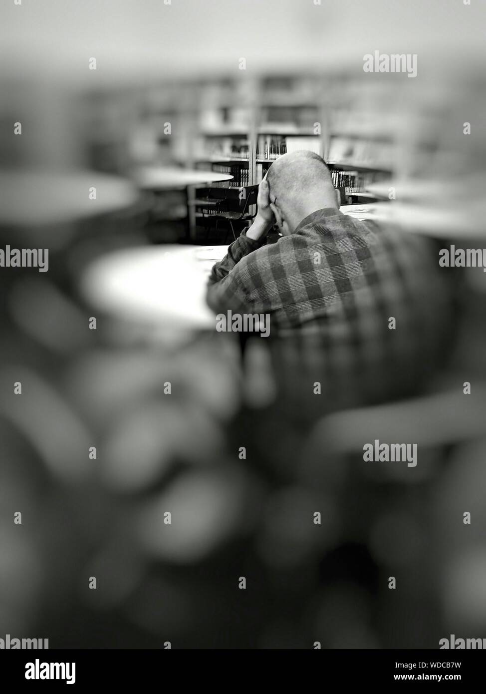 Man library rear view hi-res stock photography and images - Alamy