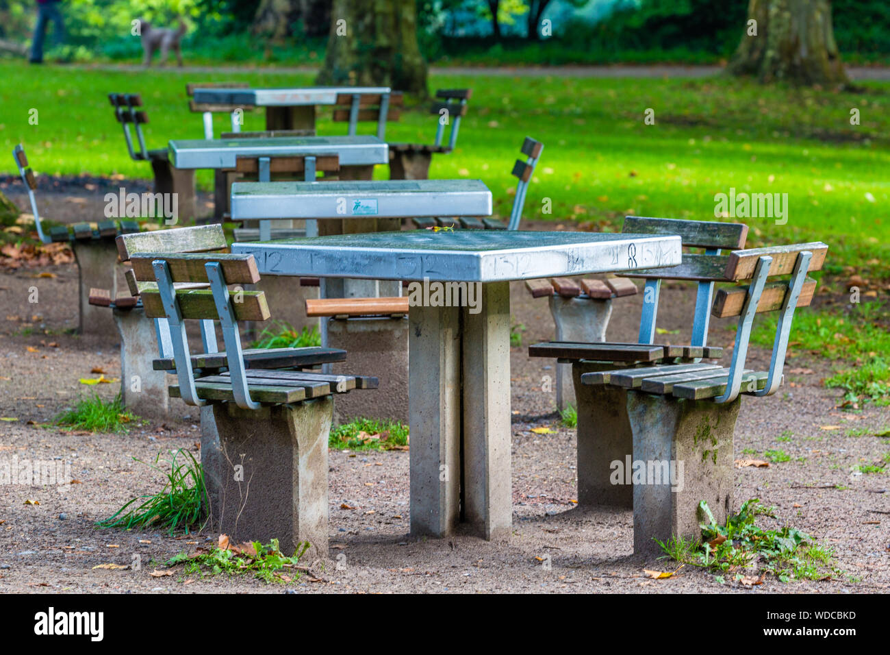 Picnic Tables Amidst Tree In Park Stock Photo - Alamy