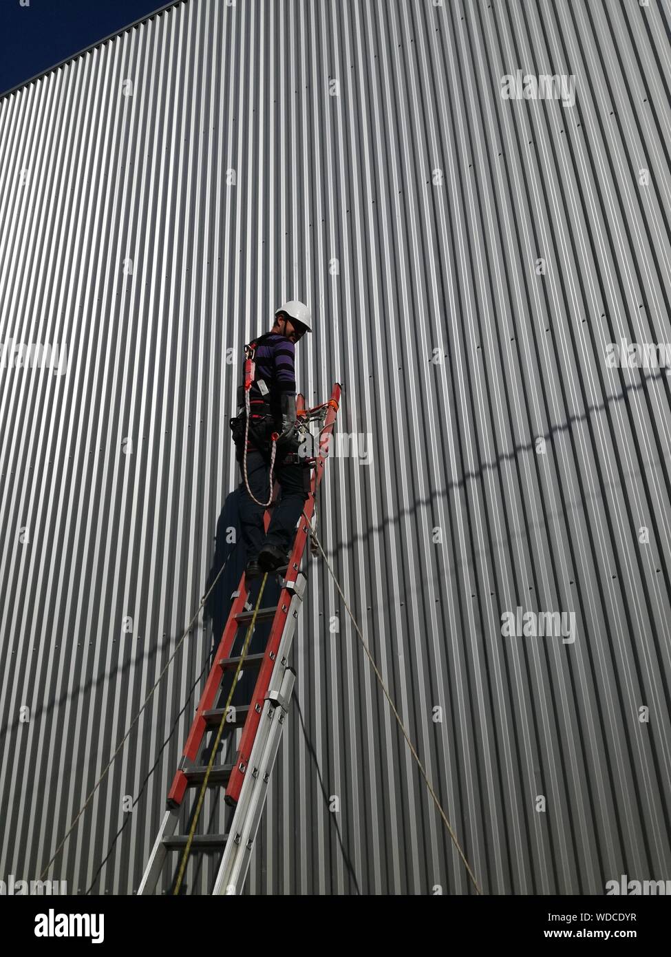 Worker on ladder hi-res stock photography and images - Alamy