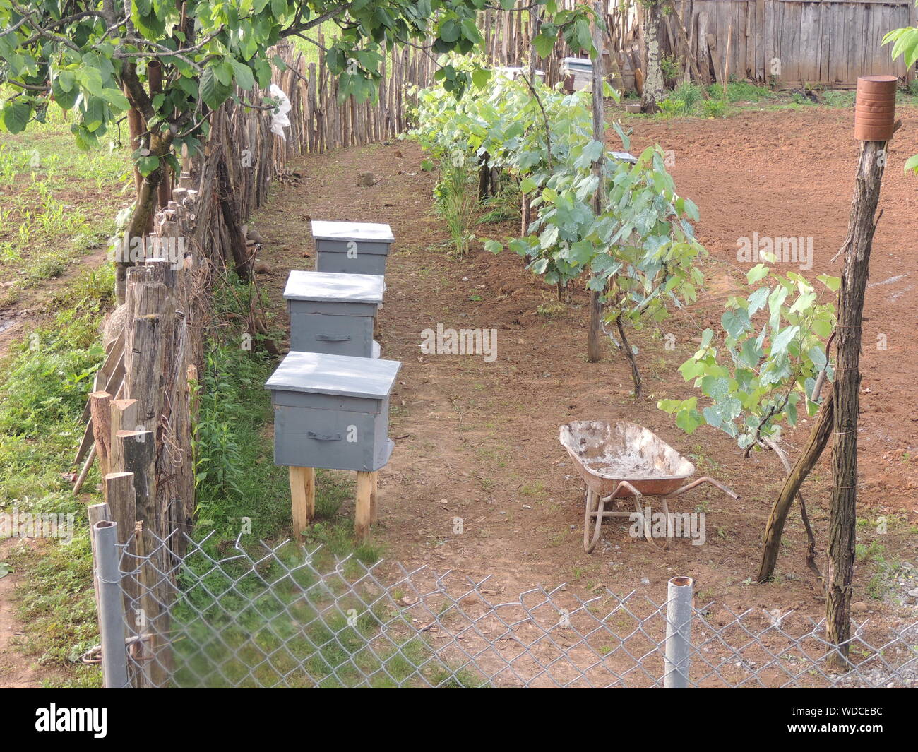 Wooden wheel barrow hi-res stock photography and images - Alamy