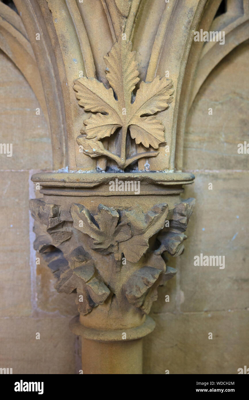 Close up of 13th century stone foliate capital in the Chapter House of ...