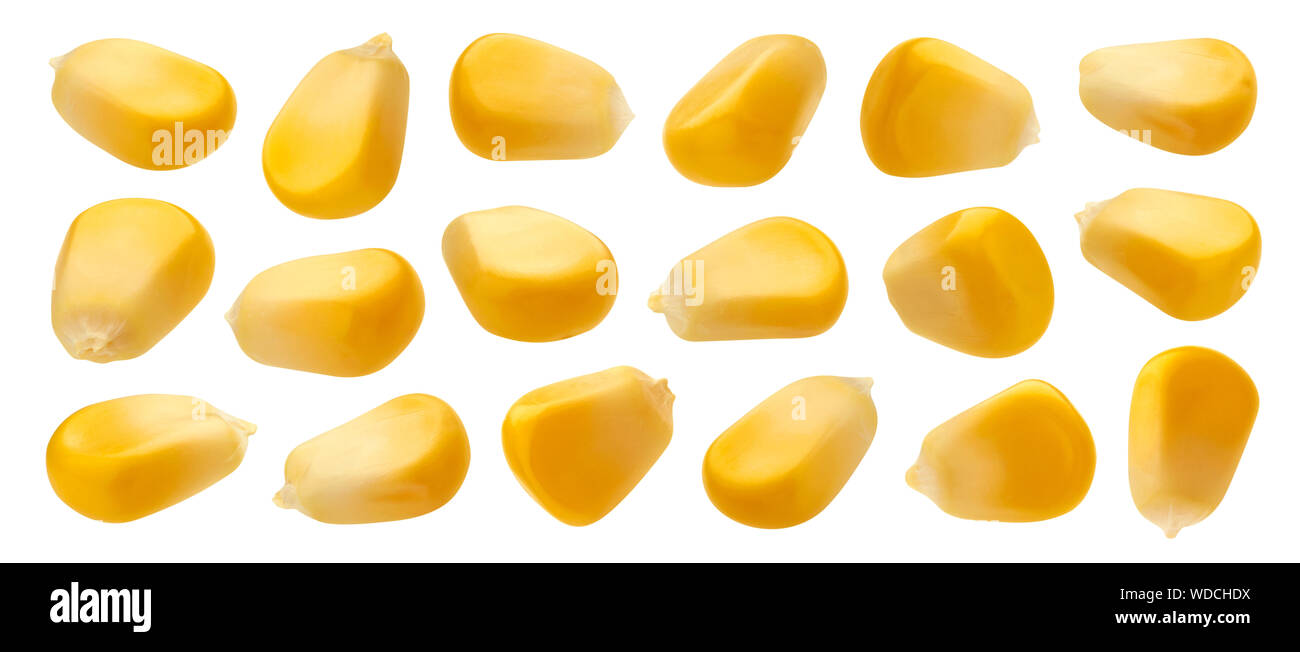 Fresh corn seeds isolated on white background with clipping path Stock ...