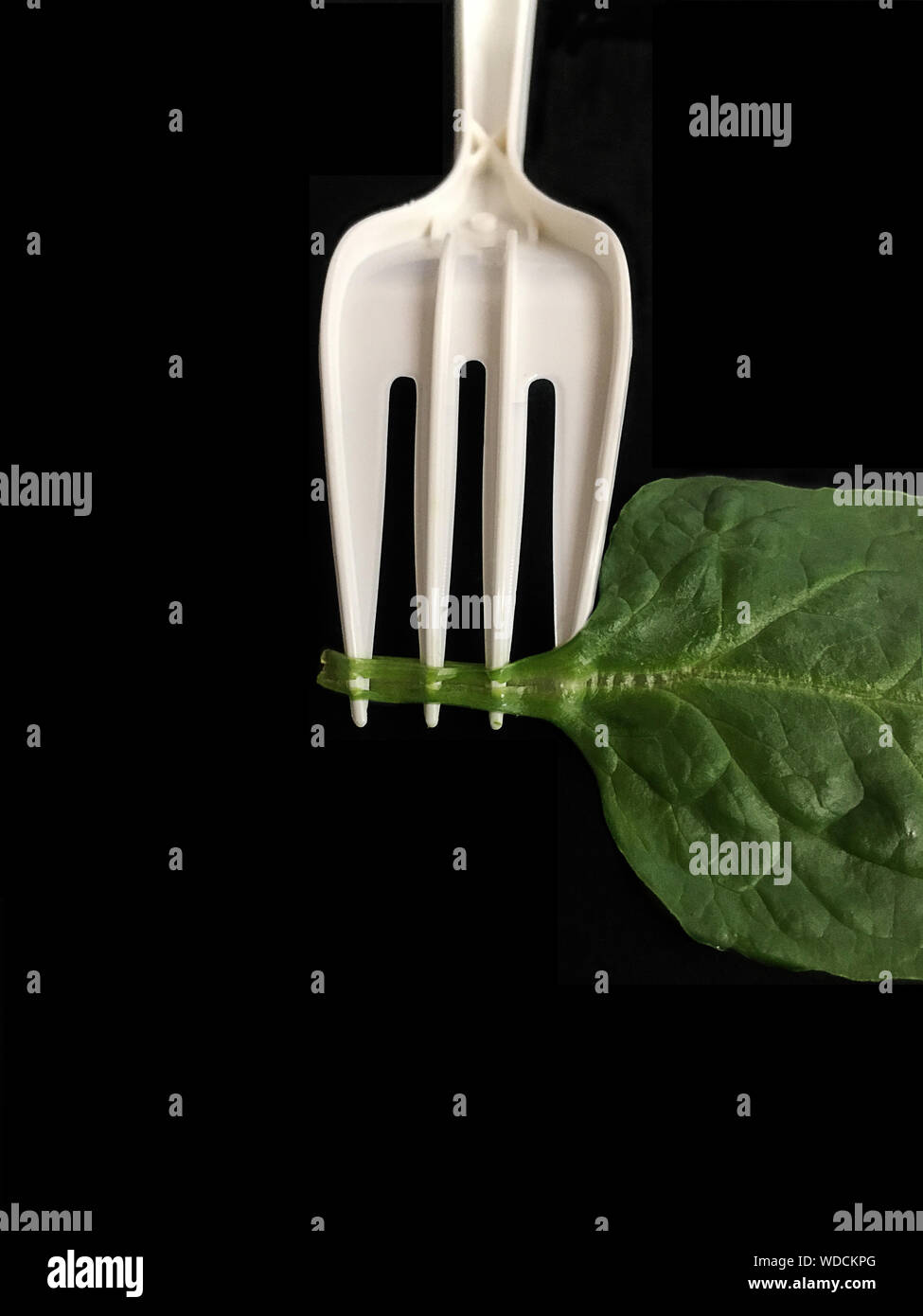 Fork and leaf hi-res stock photography and images - Alamy