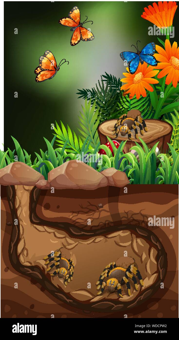 Landscape design with lives underground illustration Stock Vector Image ...