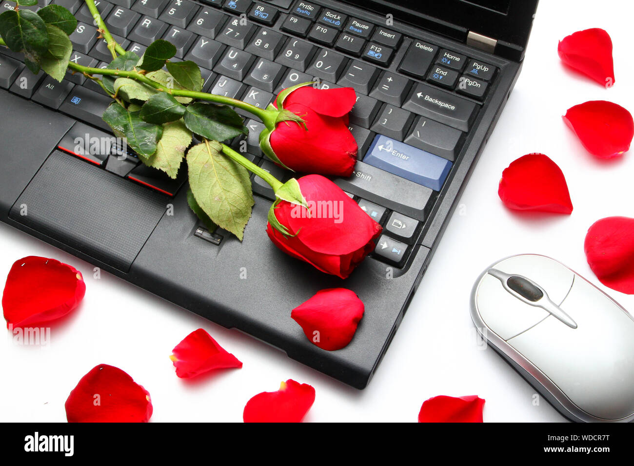 Red rose on laptop computer hi-res stock photography and images - Alamy