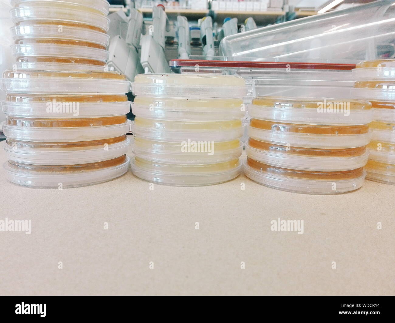Laboratory dishes hi-res stock photography and images - Alamy