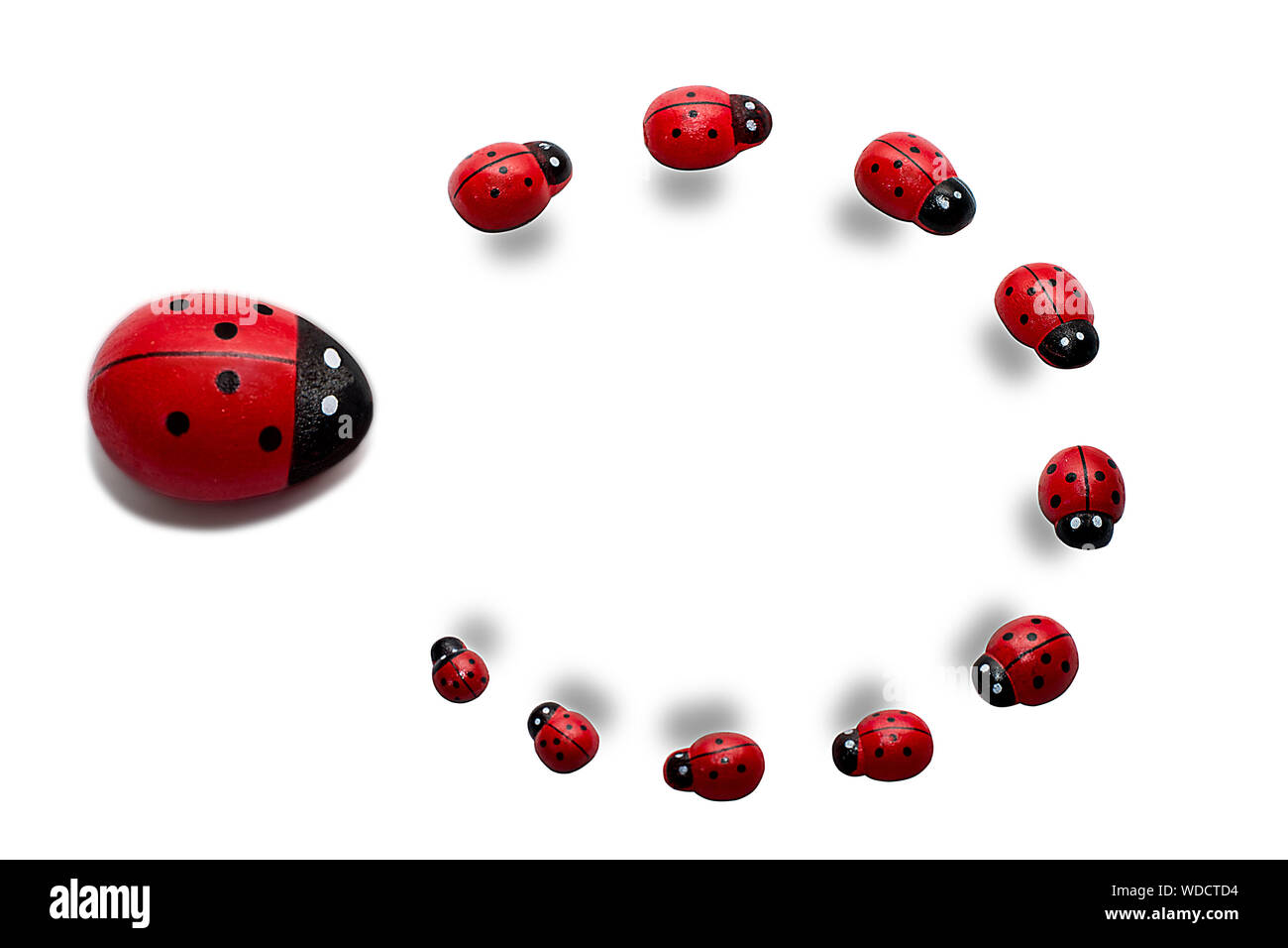 Black Red Ladybug High Resolution Stock Photography and Images - Alamy