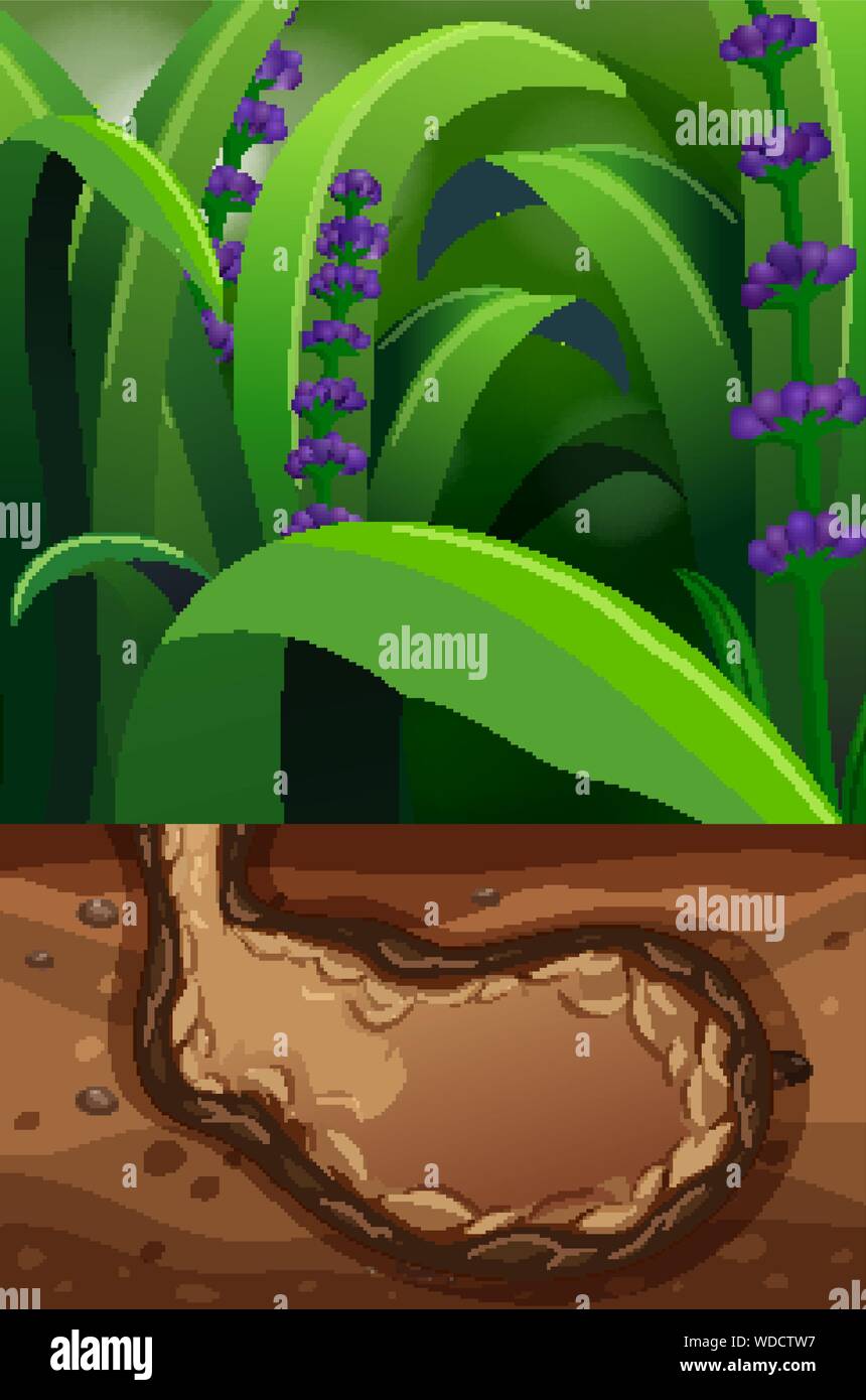 Nature scene with underground hole illustration Stock Vector Image ...