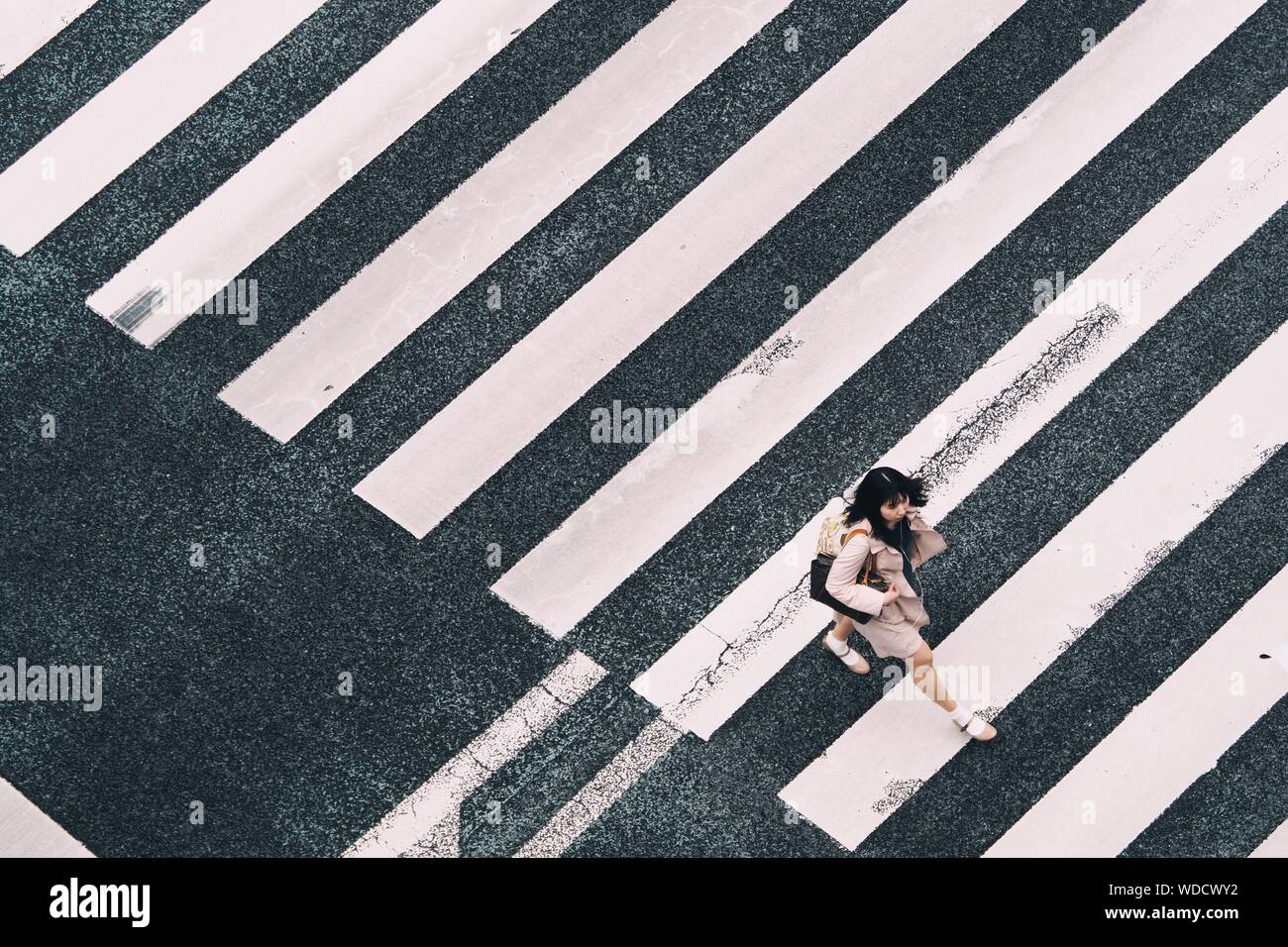 Aerial zebra hi-res stock photography and images - Alamy