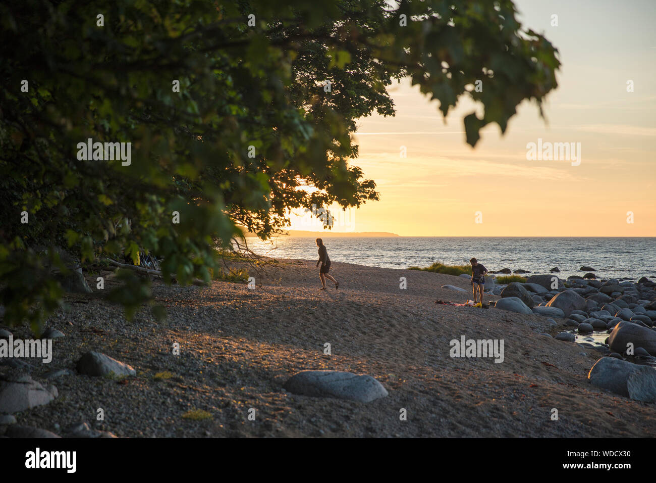 Men at beach hi-res stock photography and images - Alamy