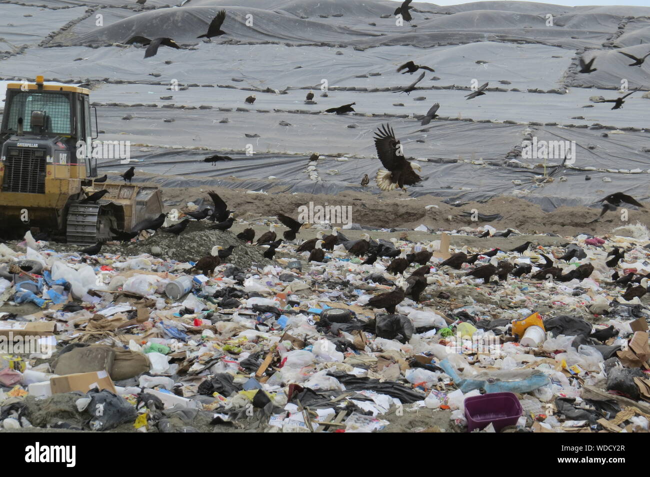 Large garbage dump hi-res stock photography and images - Alamy