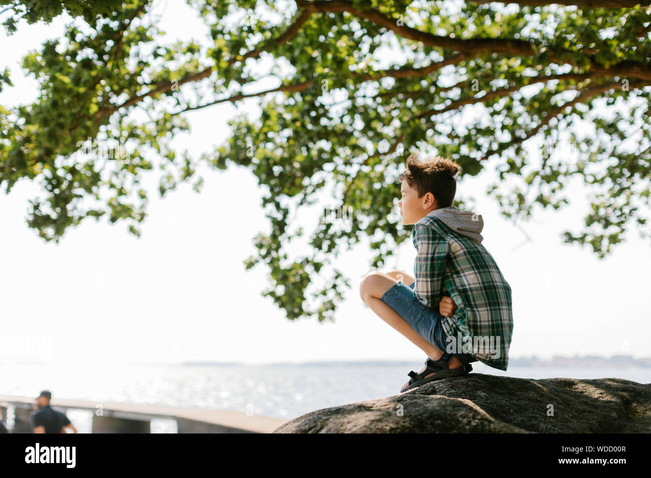Boy under the tree hi-res stock photography and images - Alamy