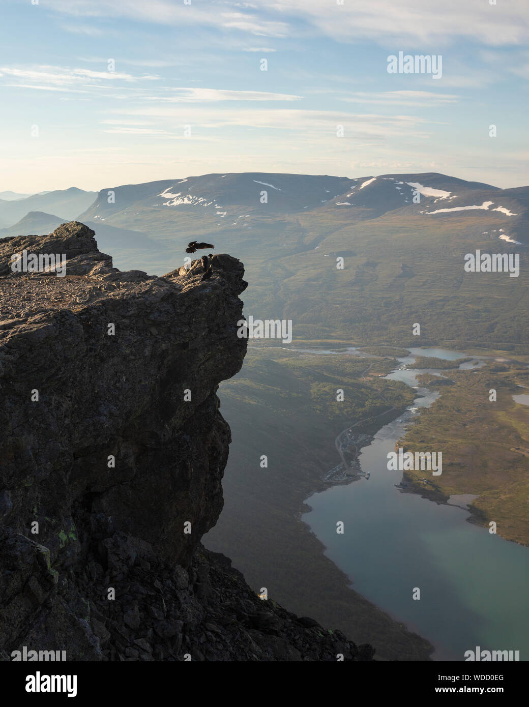 Jotunheimen national park animals hi-res stock photography and images ...